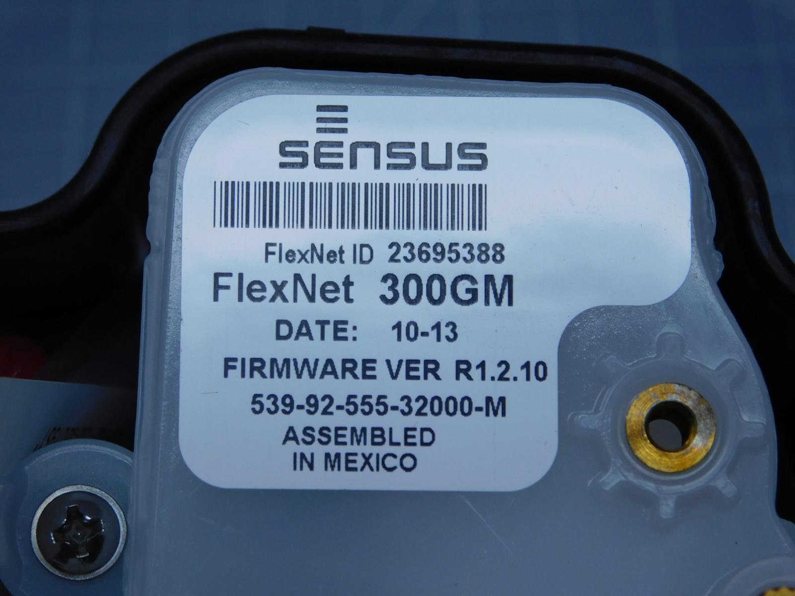 Sensus 300GM Flexnet Gas Meter MM004 | eBay